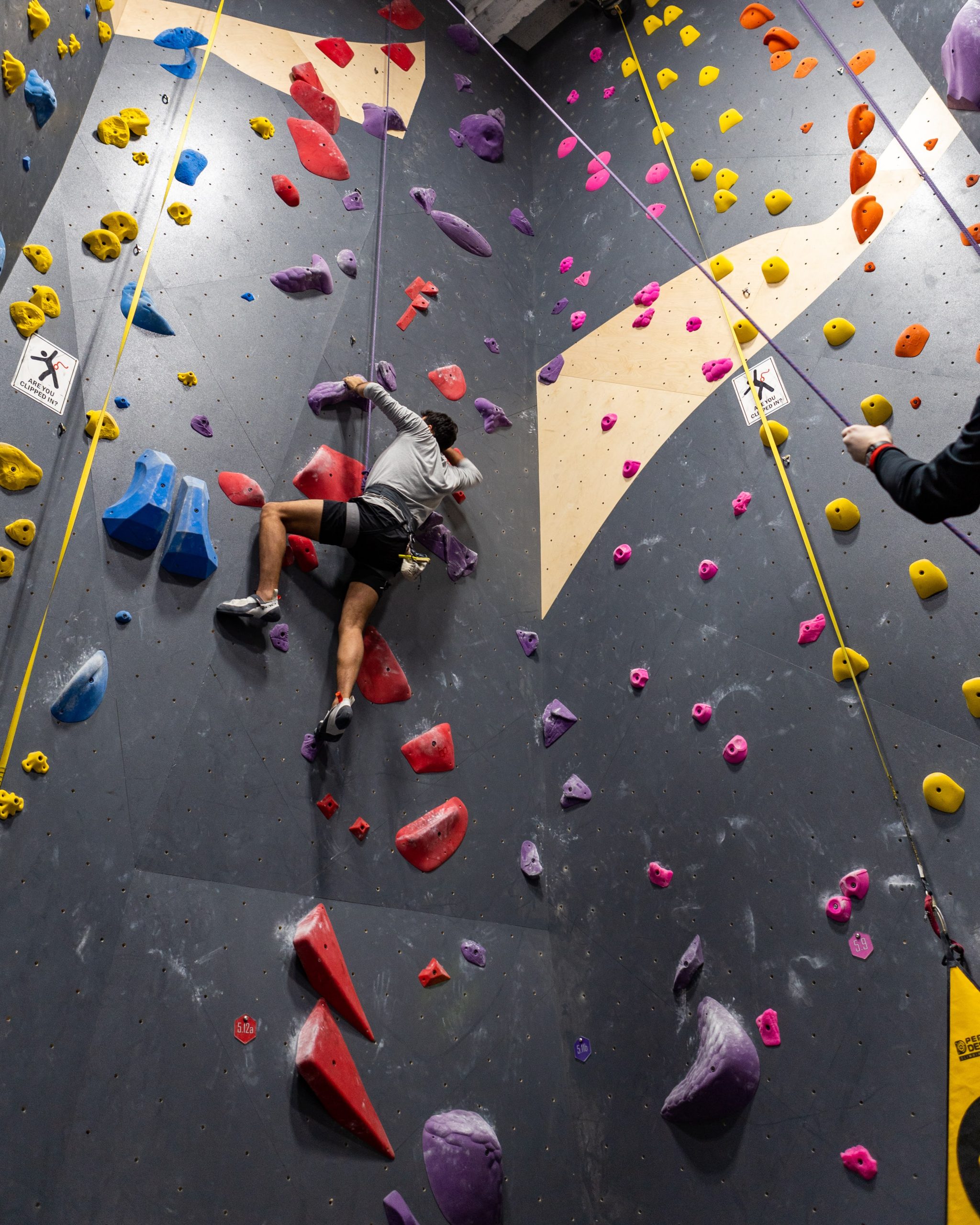 Why Top Rope Climbing Works for Beginners & Pros - Method Climbing